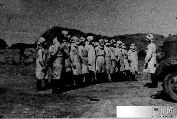 731部队 - 花叮网